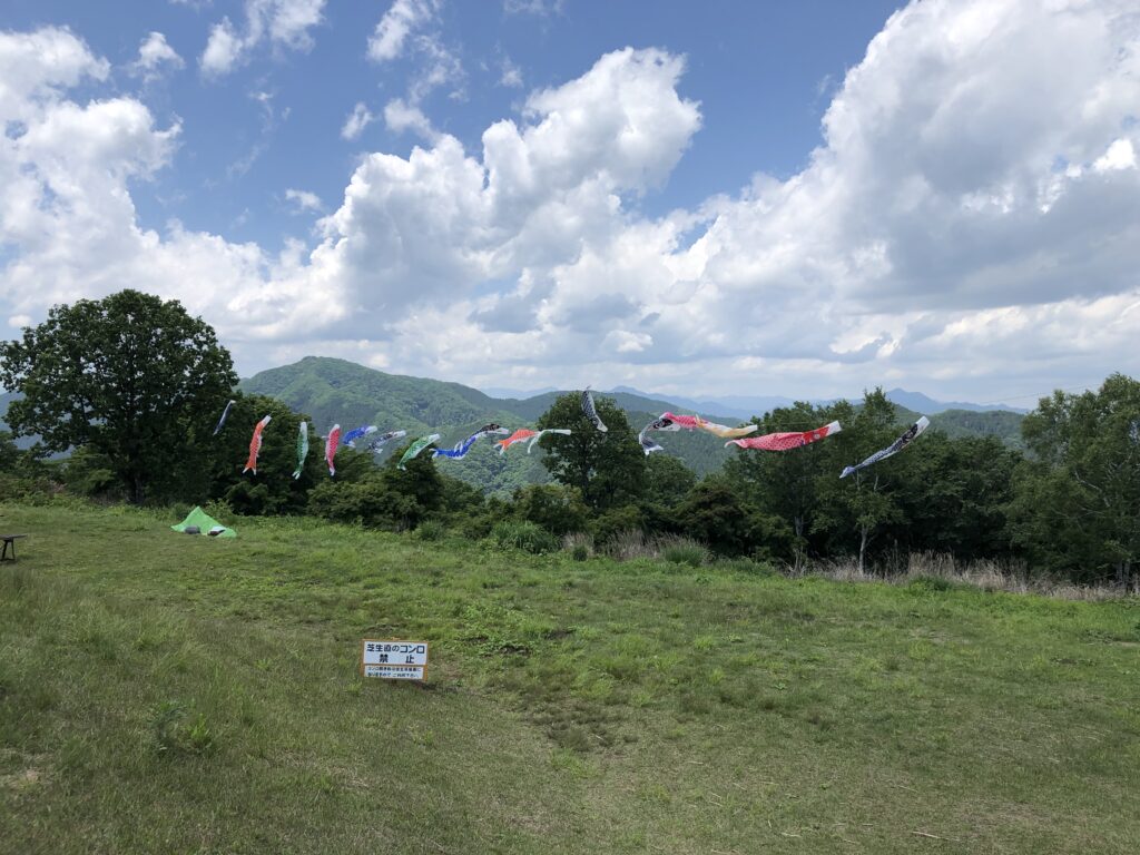 IMG_0292 | シングルシニアがゆく！